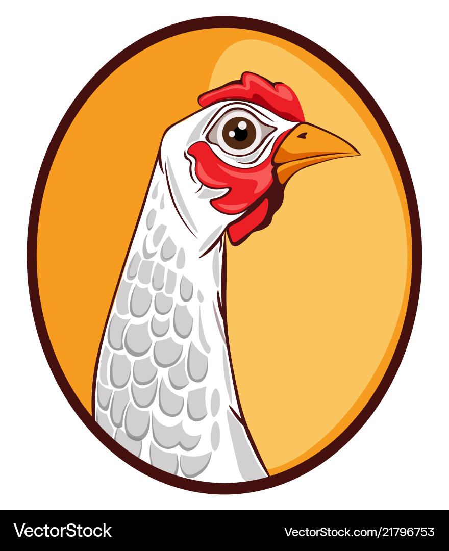 Chicken icon template cartoon Royalty Free Vector Image