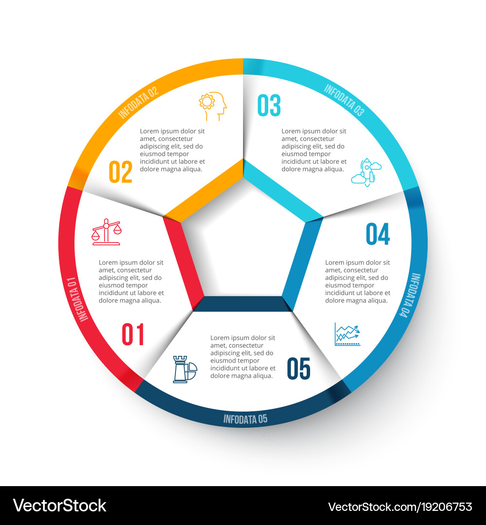 Circle infographic with 5 options Royalty Free Vector Image