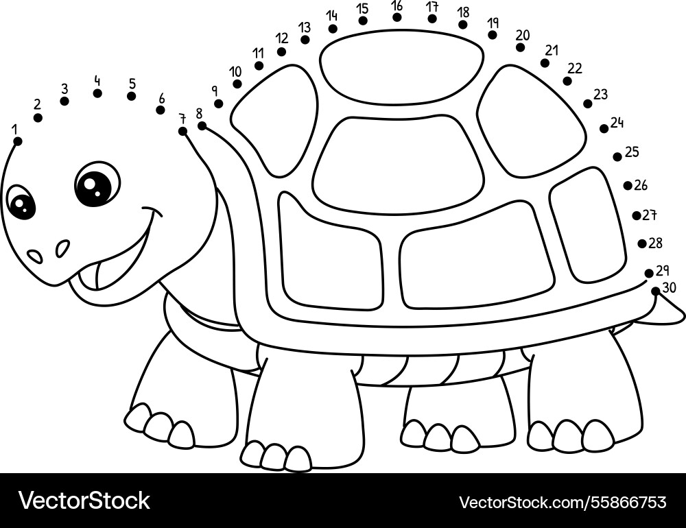 Dot to turtle animal isolated coloring page Vector Image