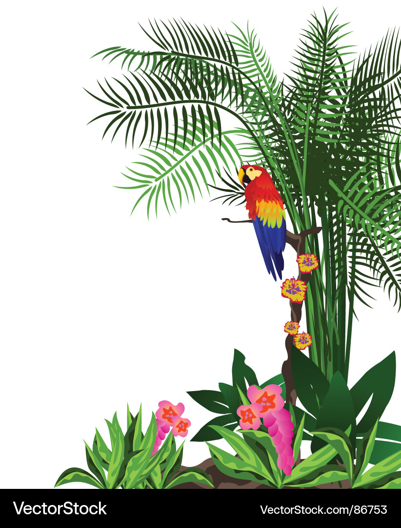 Parrot Royalty Free Vector Image - VectorStock