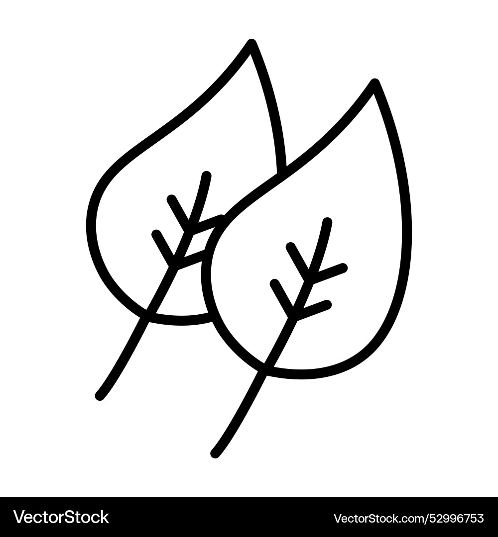 Spinach icon logo symbol outline set Royalty Free Vector