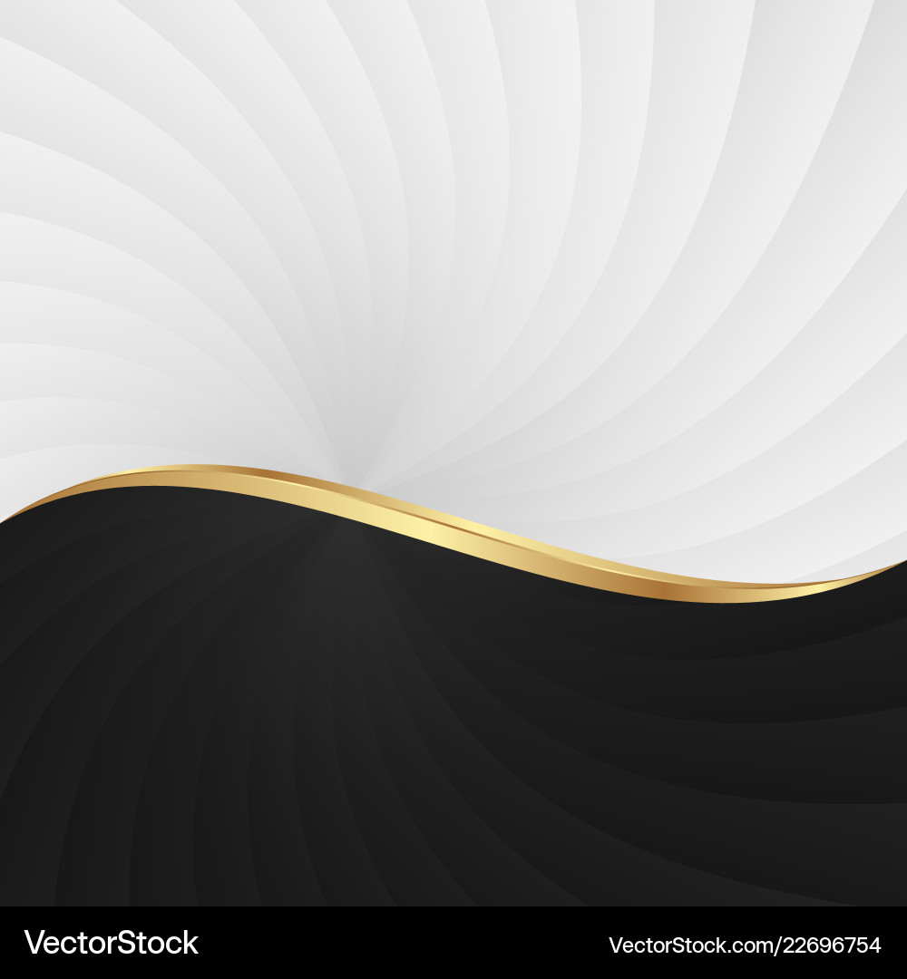 Black and white wavy abstract background divided Vector Image