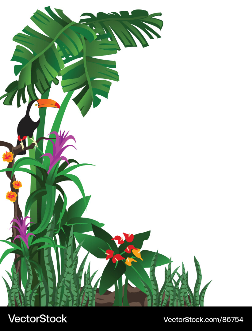 Toucan Royalty Free Vector Image - VectorStock