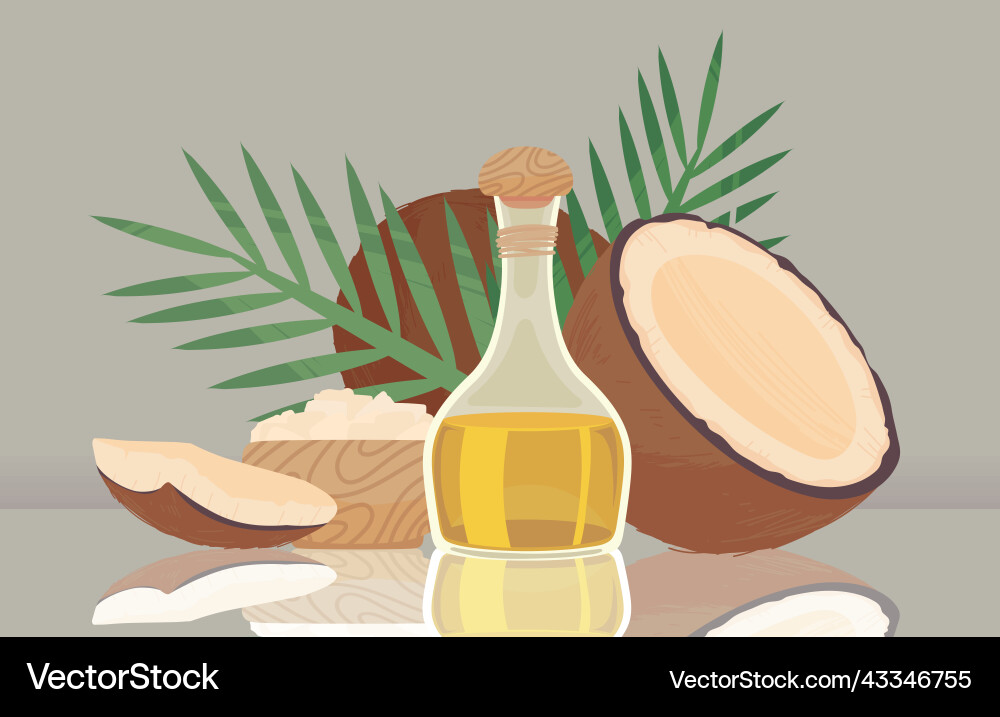 Coconut and oil Royalty Free Vector Image - VectorStock