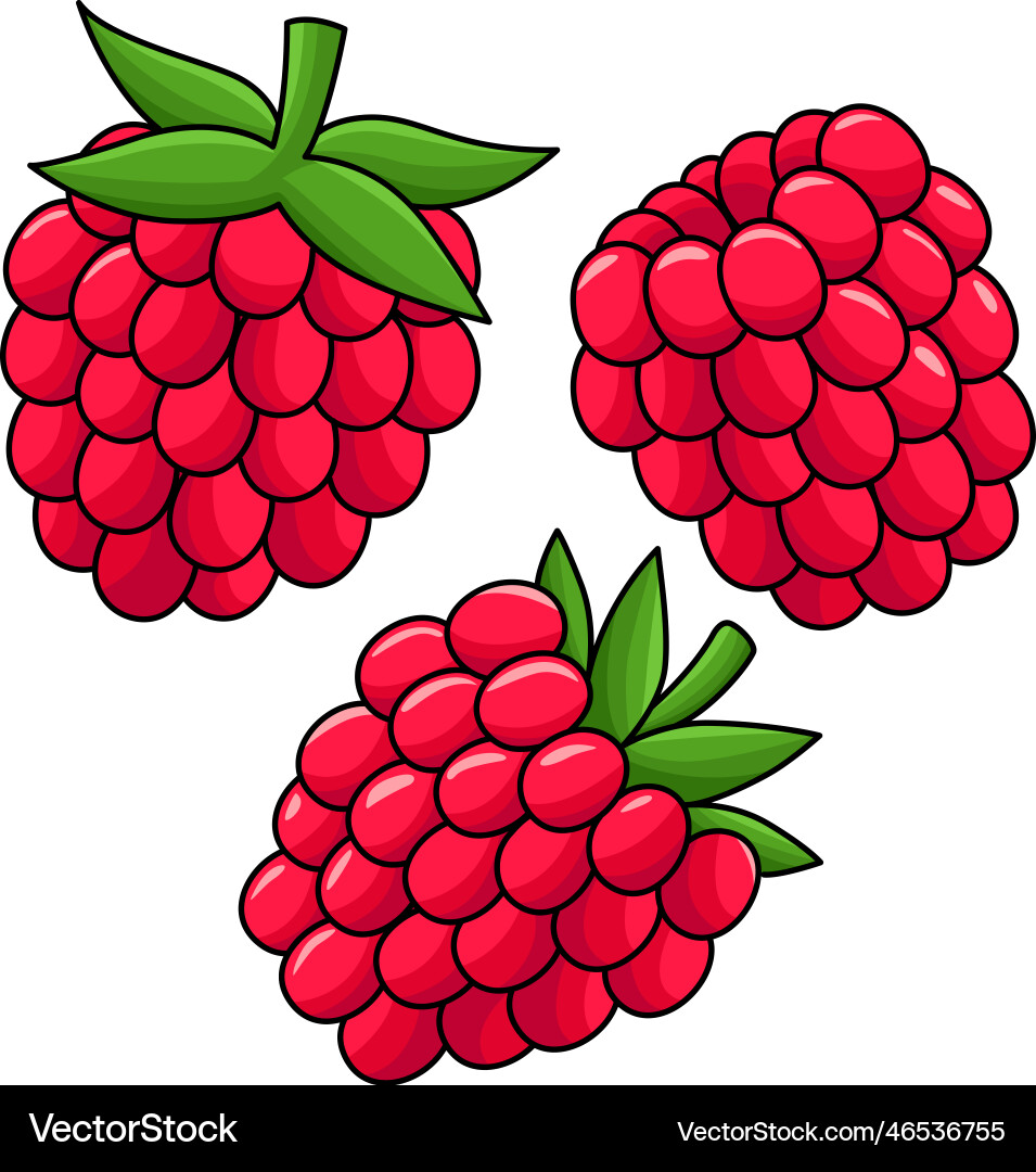 Cartoon Raspberries