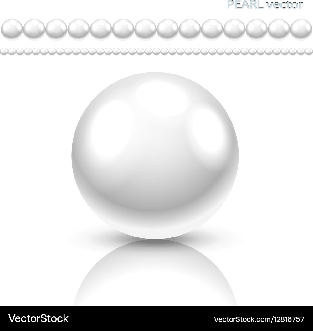 Pearls set Royalty Free Vector Image - VectorStock