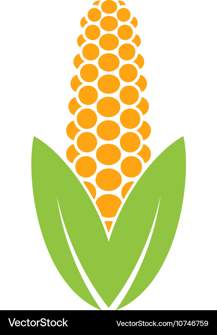Corn logo Royalty Free Vector Image - VectorStock
