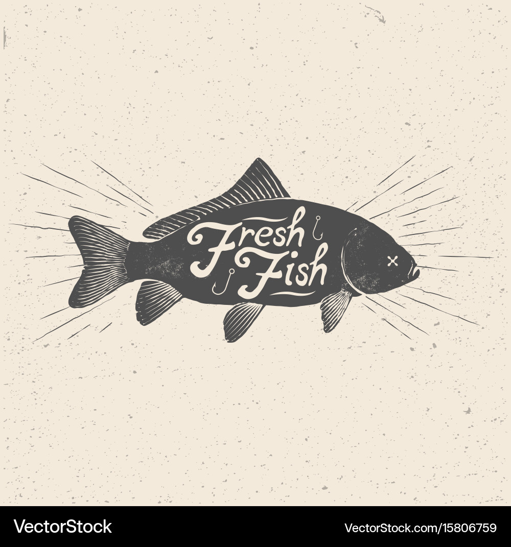Fresh fish Royalty Free Vector Image - VectorStock