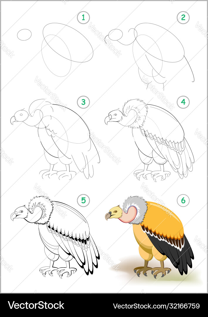 How to draw step predatory vulture Royalty Free Vector Image