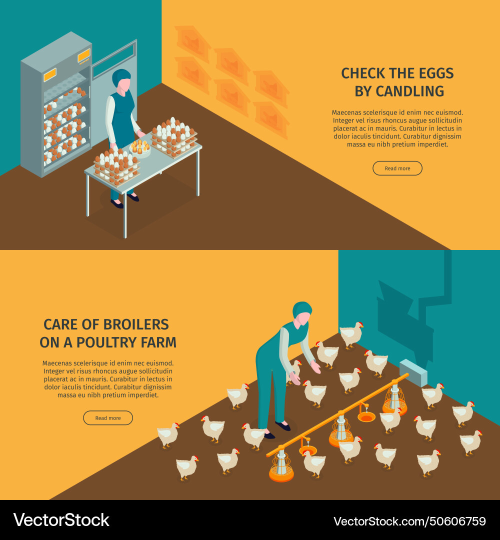 Poultry farm horizontal banners Royalty Free Vector Image