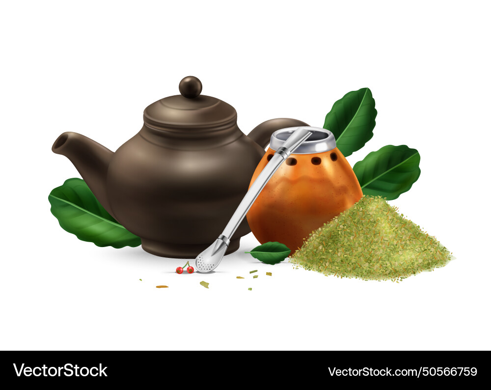 Realistic mate tea Royalty Free Vector Image - VectorStock