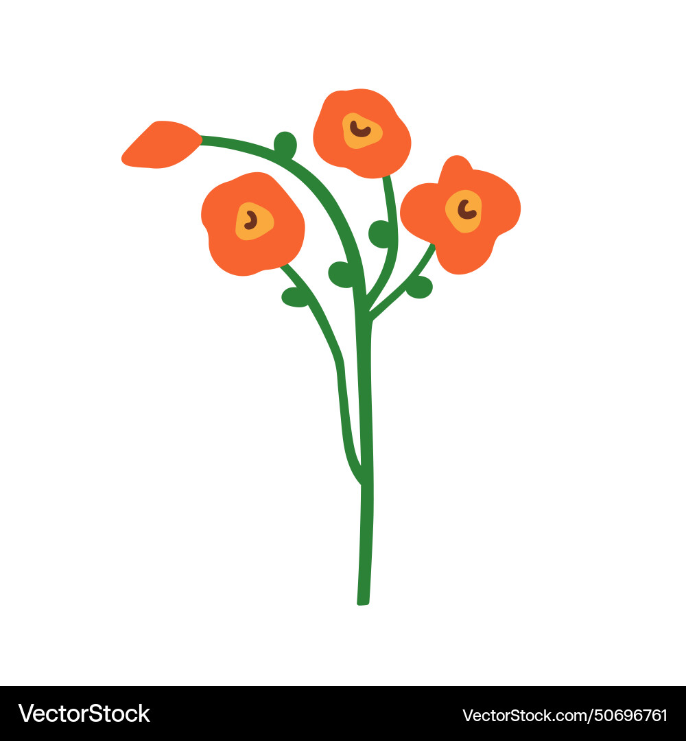 Spring flower field floral branch meadow bloom Vector Image