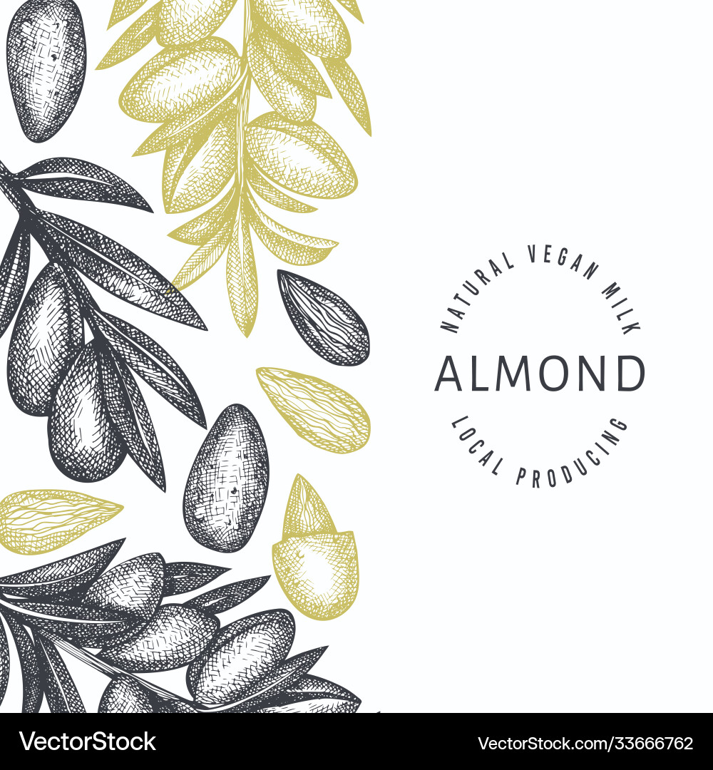 Hand drawn sketch almond design template organic Vector Image