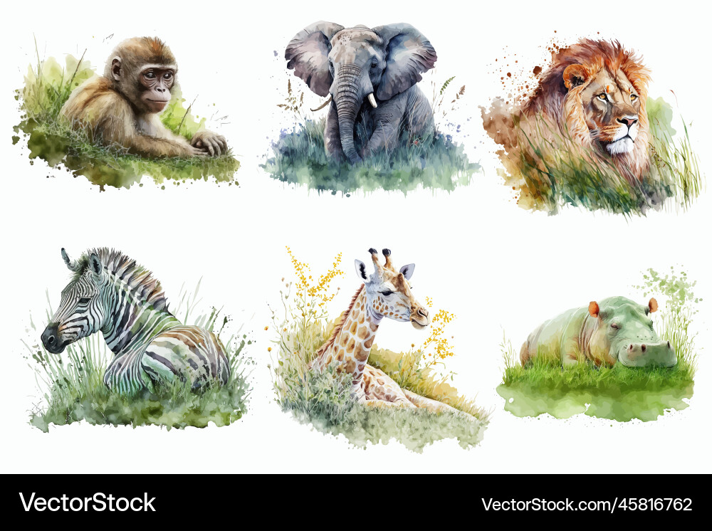 Safari animal set hippopotamus lion zebra Vector Image