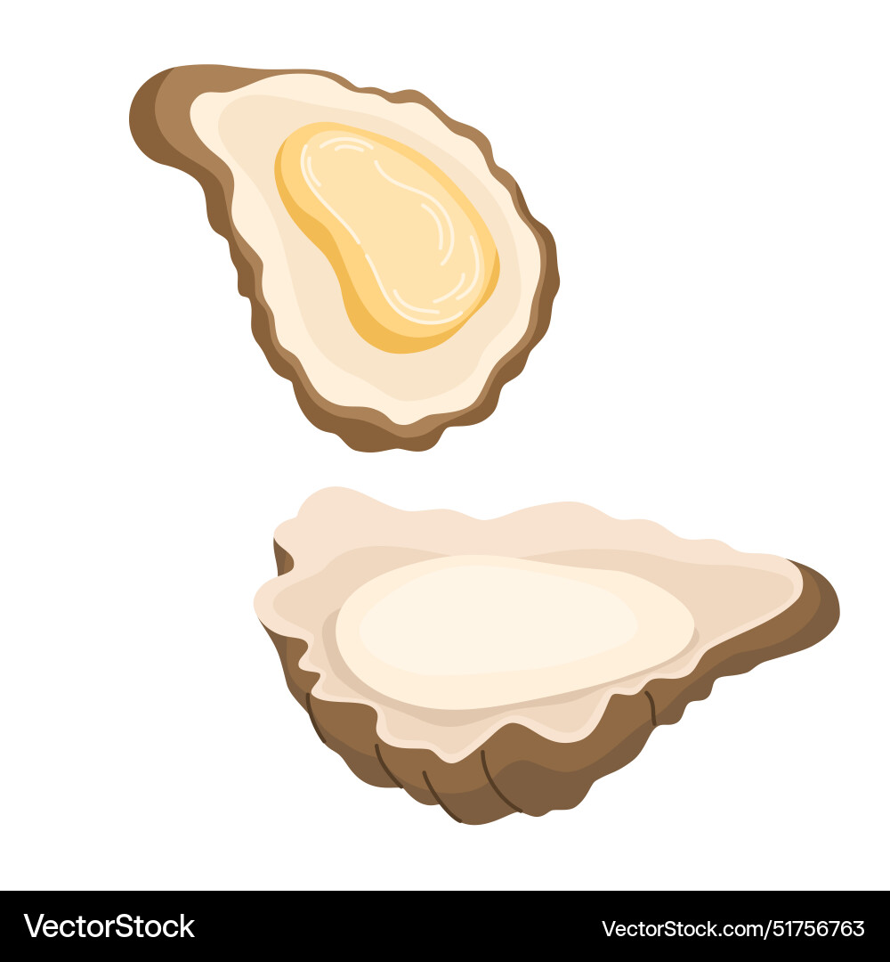 2028 seafood oyster Royalty Free Vector Image - VectorStock