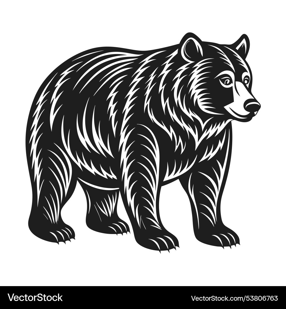 Grizzly bear Royalty Free Vector Image - VectorStock