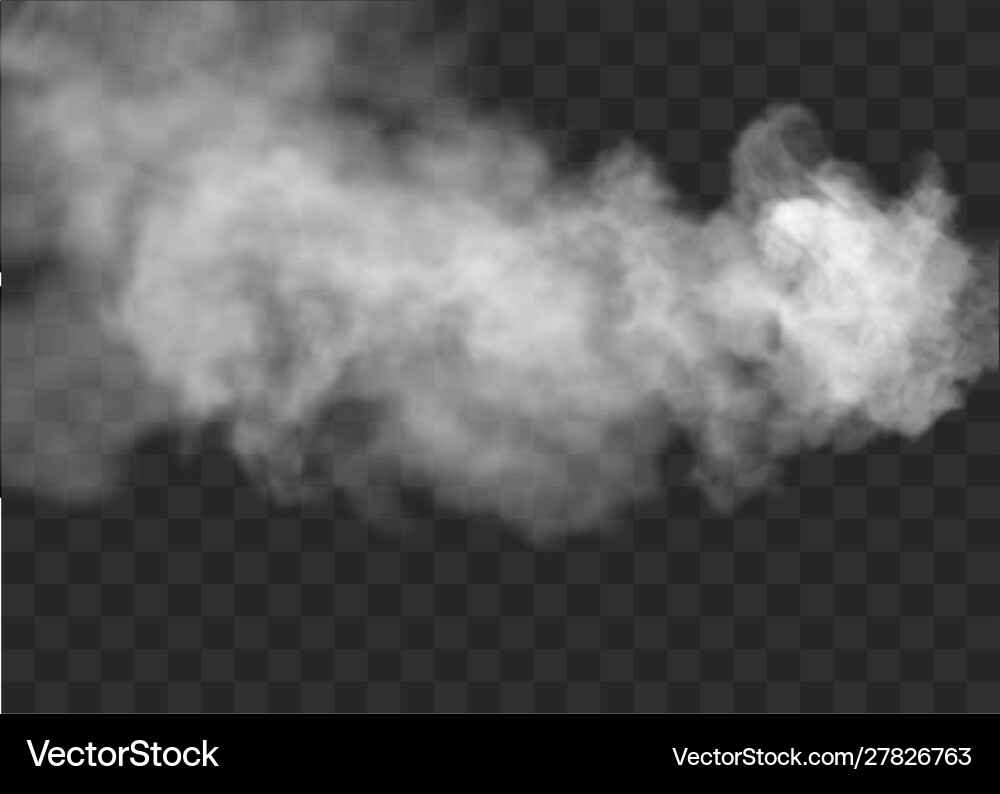 Transparent special effect stands out with fog Vector Image