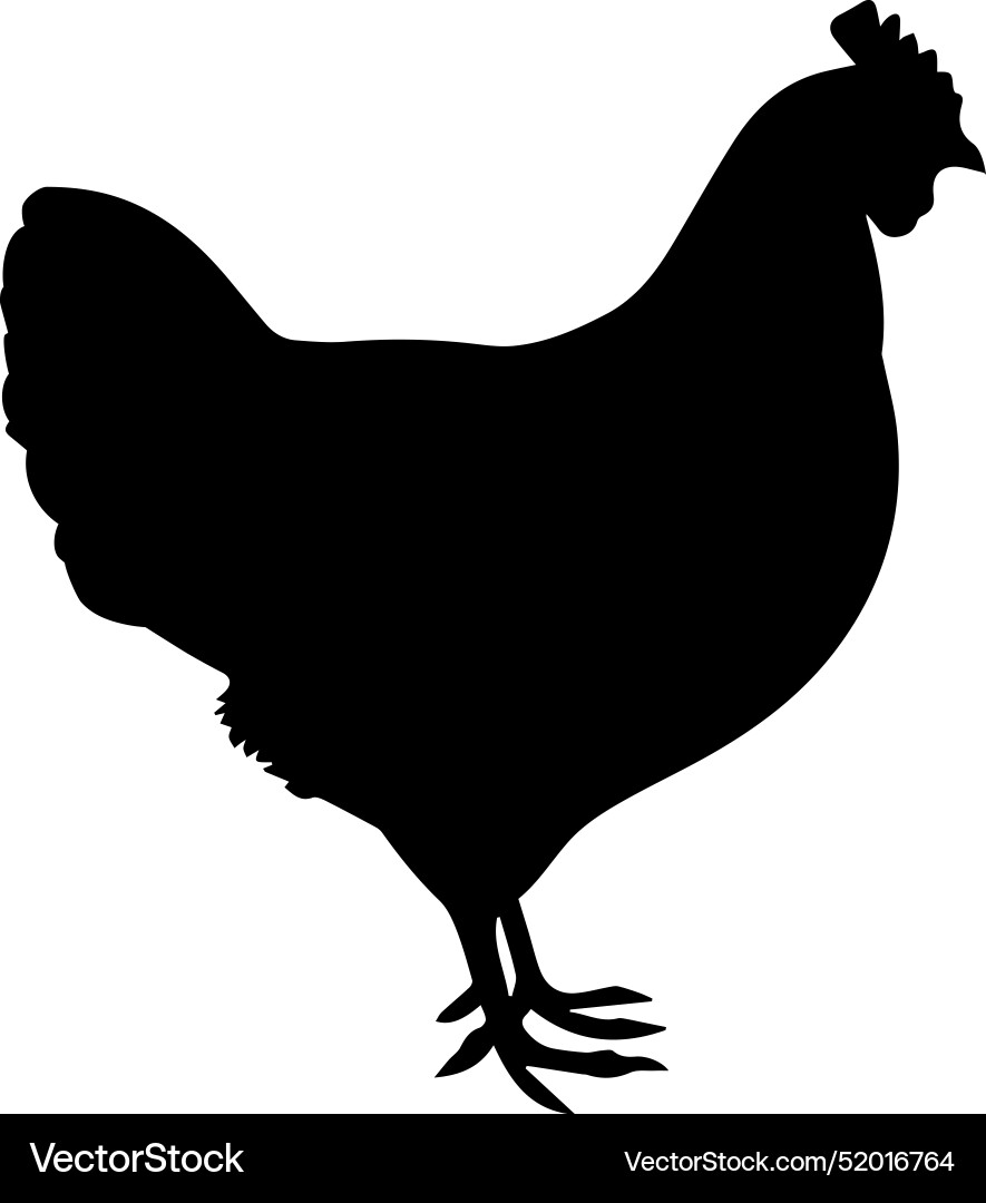 A black chicken silhouette Royalty Free Vector Image