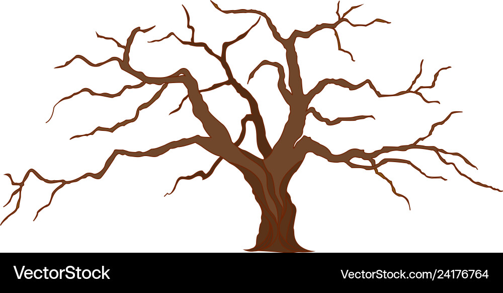 A tree without leaves Royalty Free Vector Image