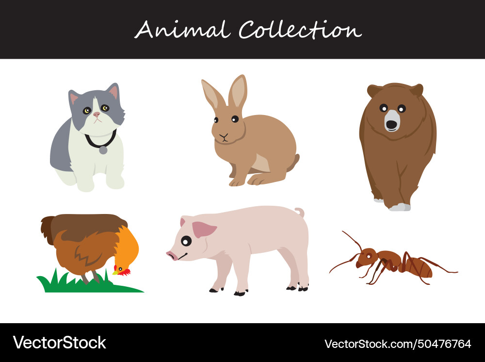 Animal collection cartoon style Royalty Free Vector Image