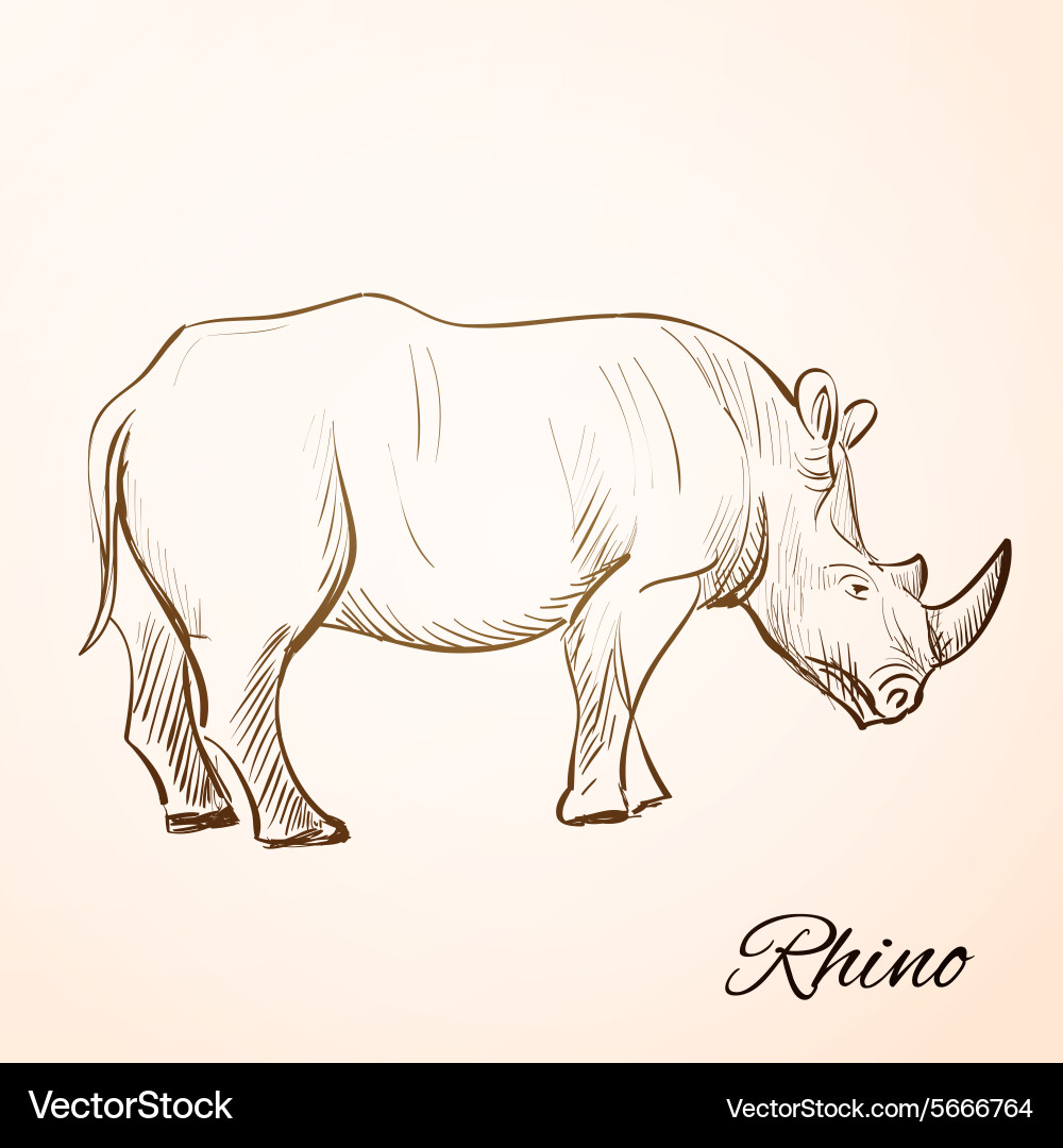 Doodle rhino Royalty Free Vector Image - VectorStock