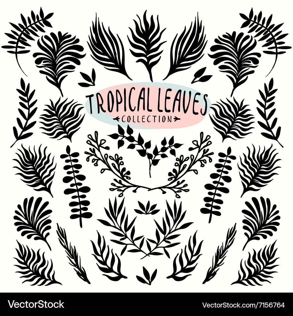 Ink drawn leaves collection Royalty Free Vector Image