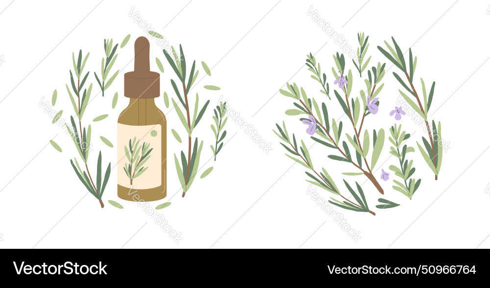 Rosemary essential oil circle emblem isolated Vector Image