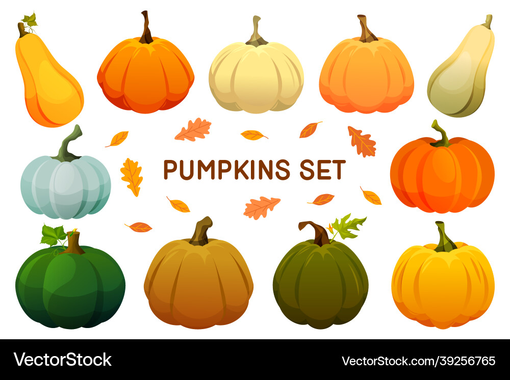 Decorative pumpkin or gourd icons set Royalty Free Vector