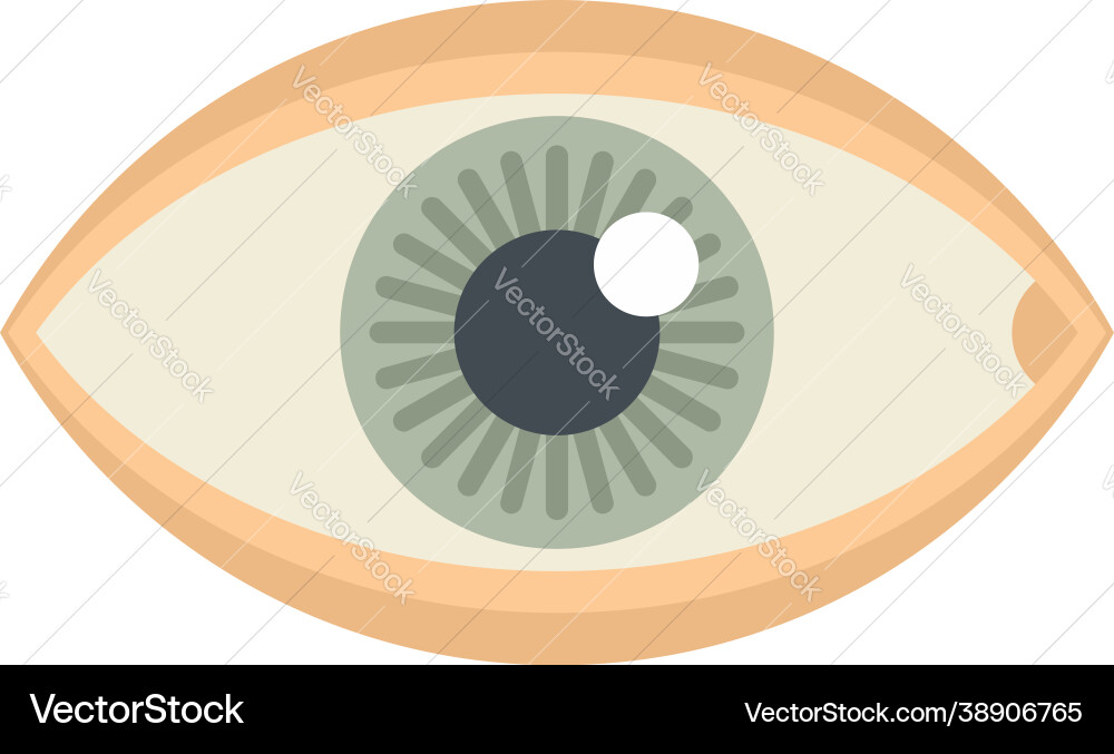 Mission eye icon flat isolated Royalty Free Vector Image