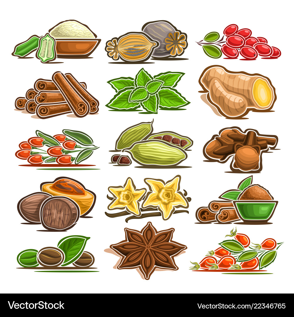 Elaichi Vector Images (23)