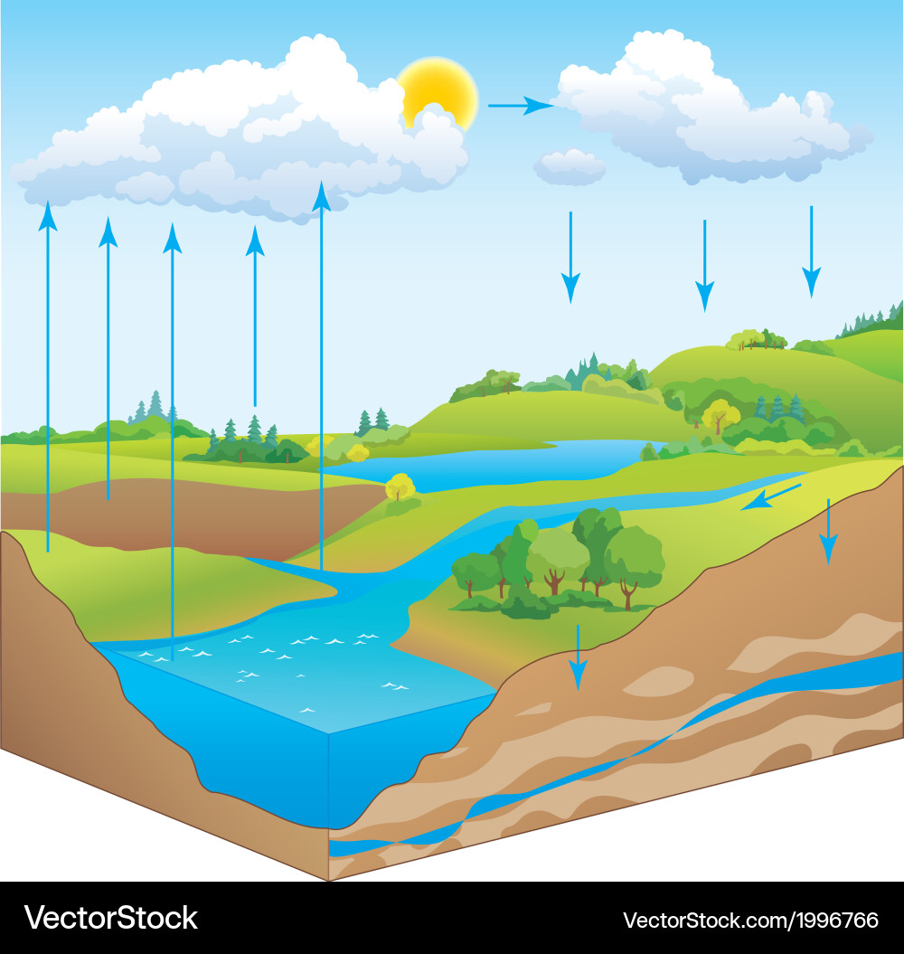 Water cycle in nature Royalty Free Vector Image