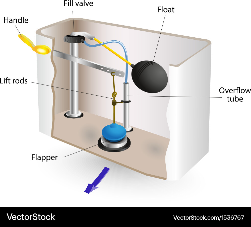 Flushing mechanism flush toilet Royalty Free Vector Image