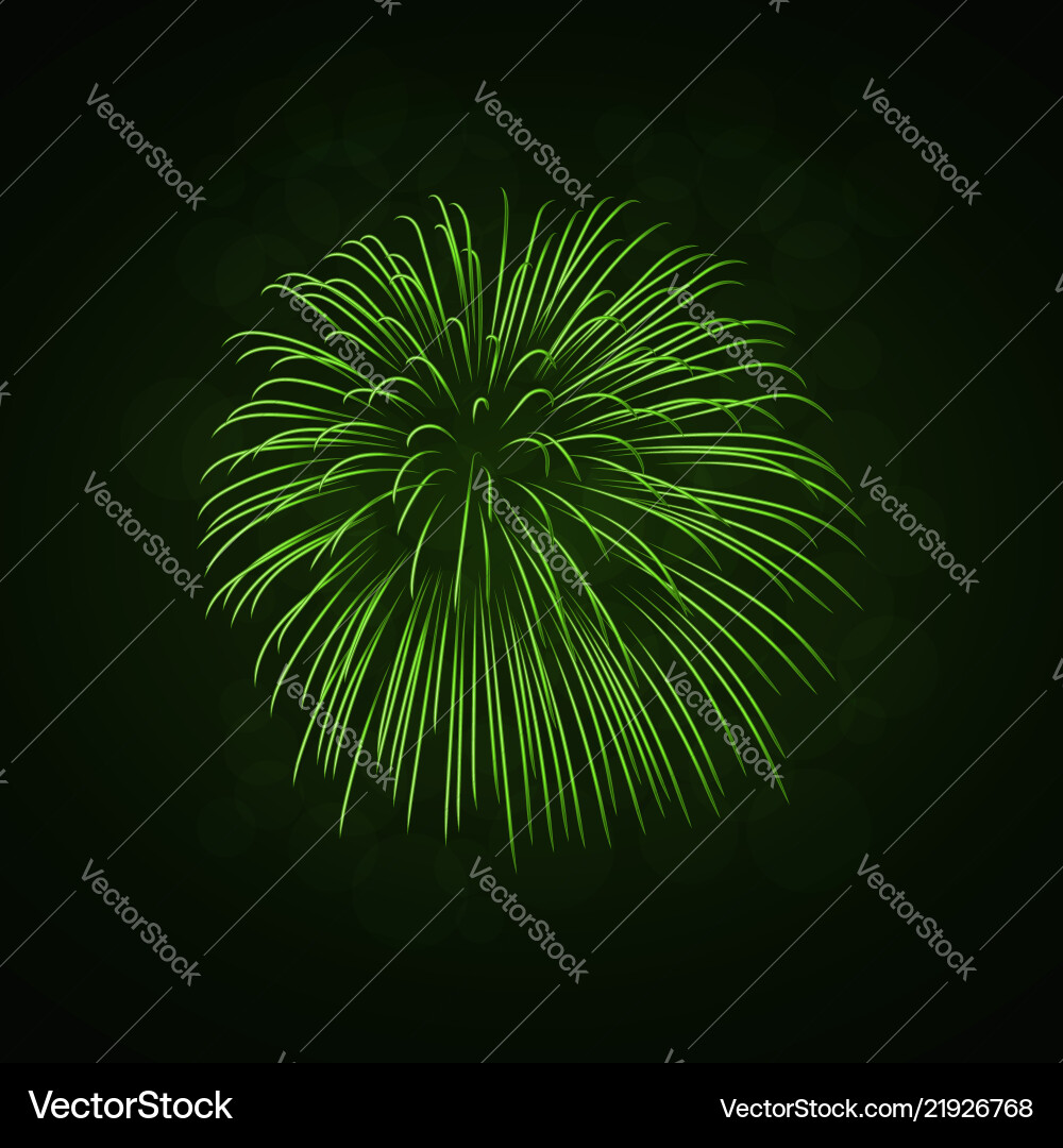 Beautiful green firework bright isolated Vector Image