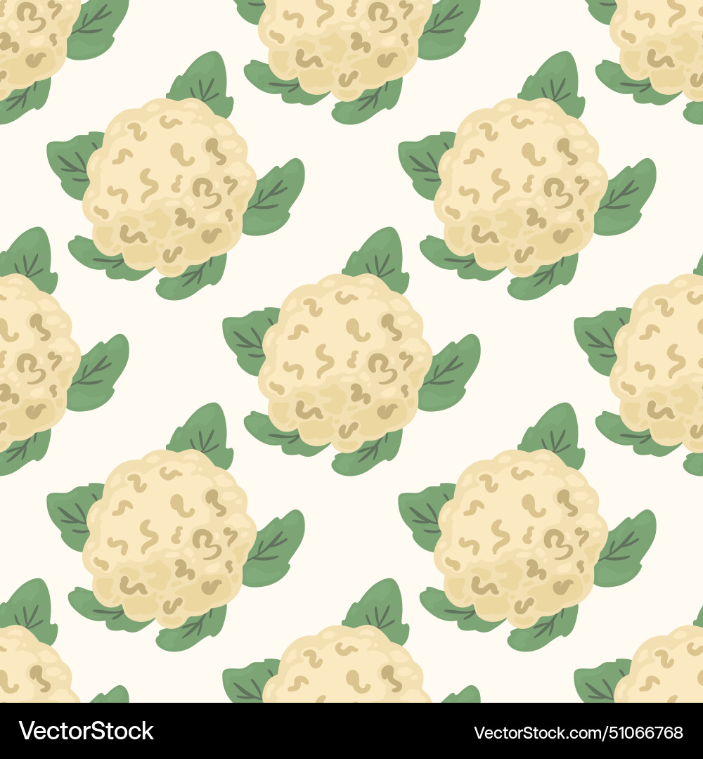 Cauliflower seamless pattern on beige background Vector Image