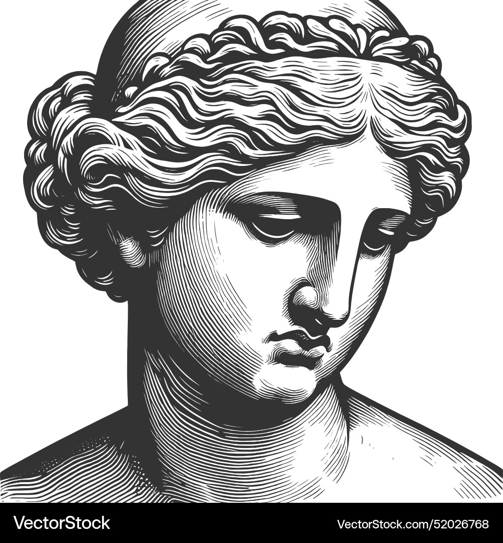 Classical greek statue line art Royalty Free Vector Image