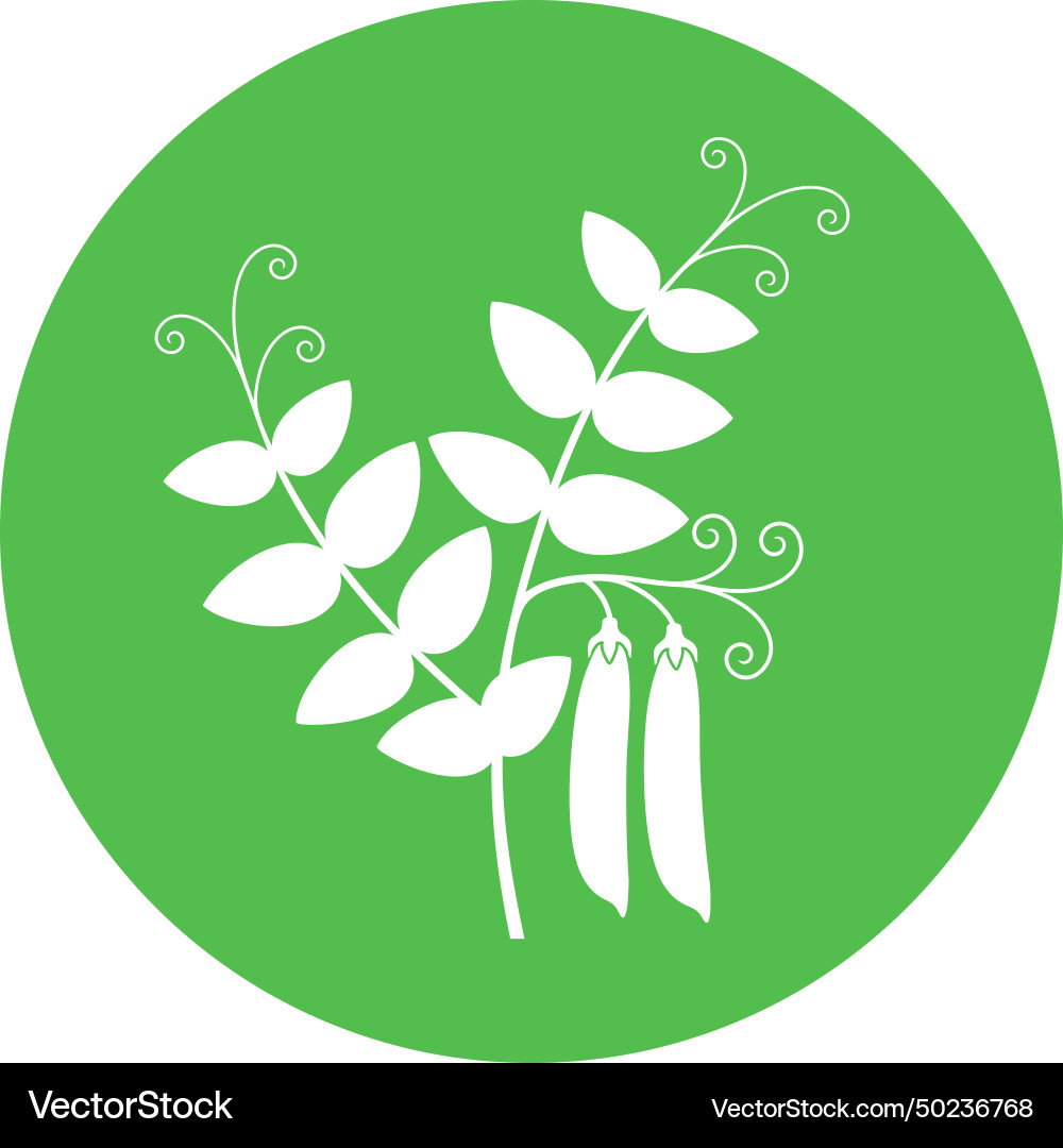 Pea Royalty Free Vector Image - VectorStock