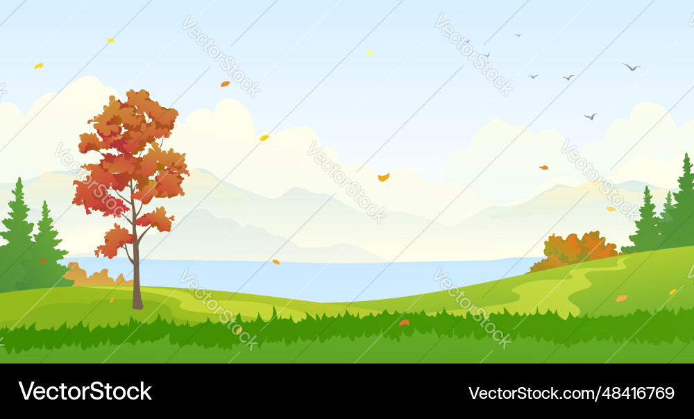 Autumn forest background Royalty Free Vector Image