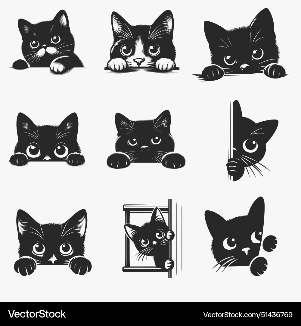 Peeking cat svg silhouette bundle file Royalty Free Vector