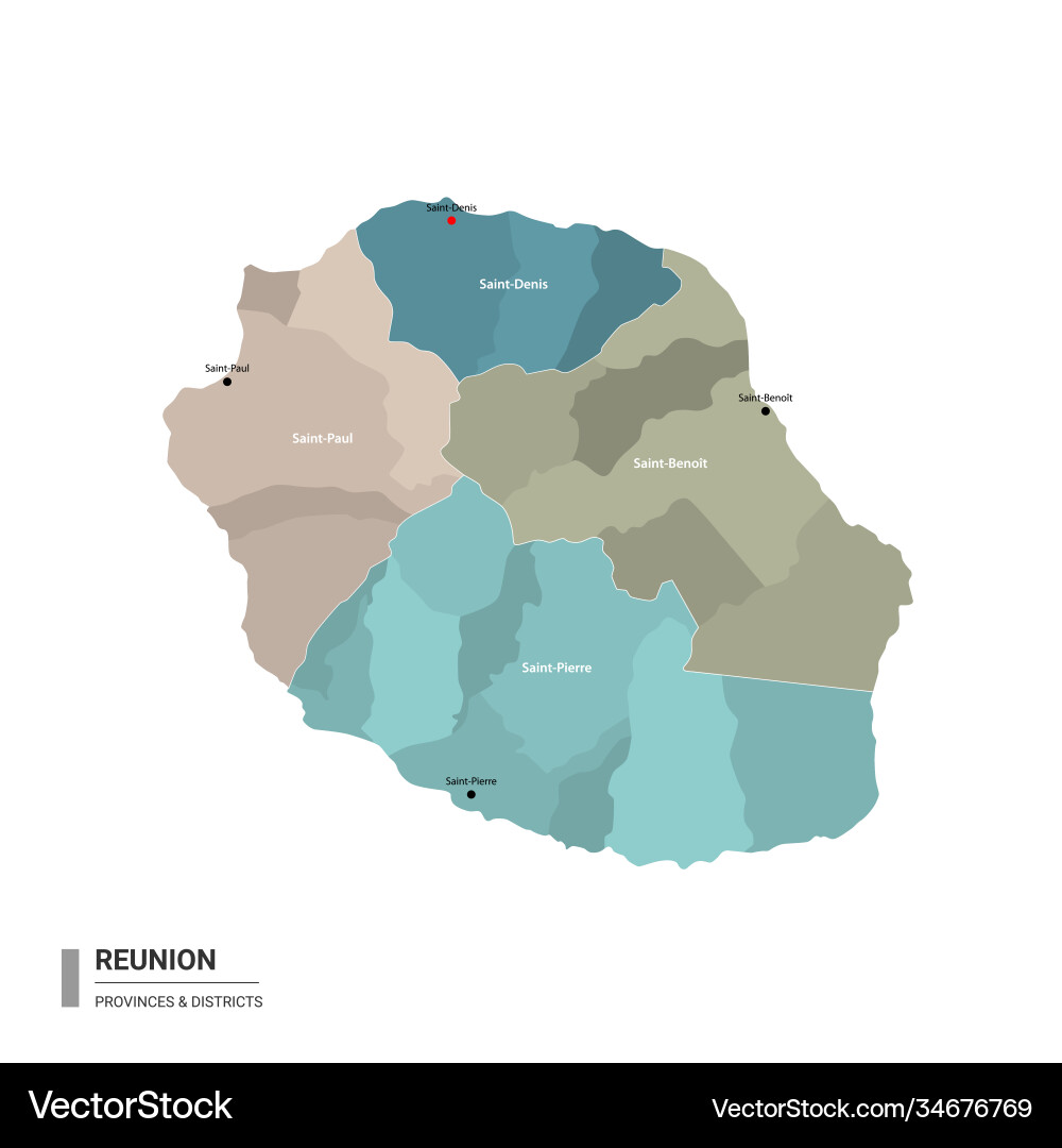 Reunion higt detailed map with subdivisions Vector Image