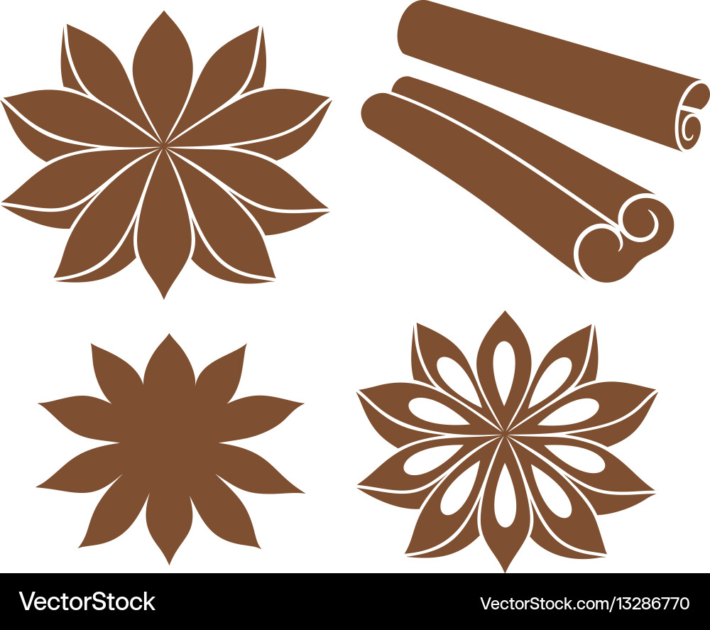 Cinnamon Royalty Free Vector Image - VectorStock