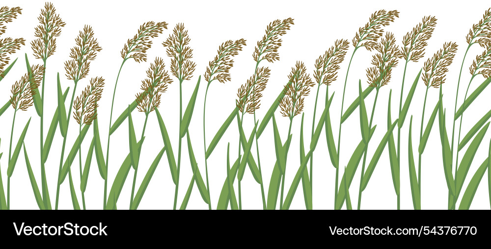 Seamless pattern with reed Royalty Free Vector Image