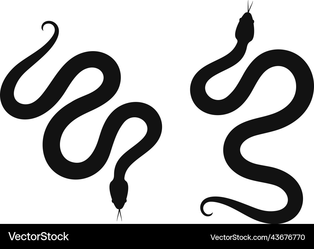 Snake Royalty Free Vector Image - VectorStock