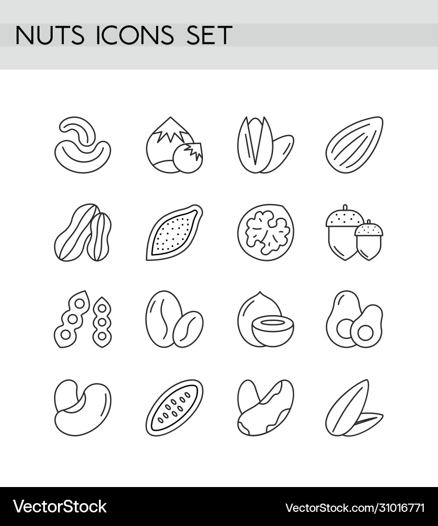 Nuts icons line outline set Royalty Free Vector Image