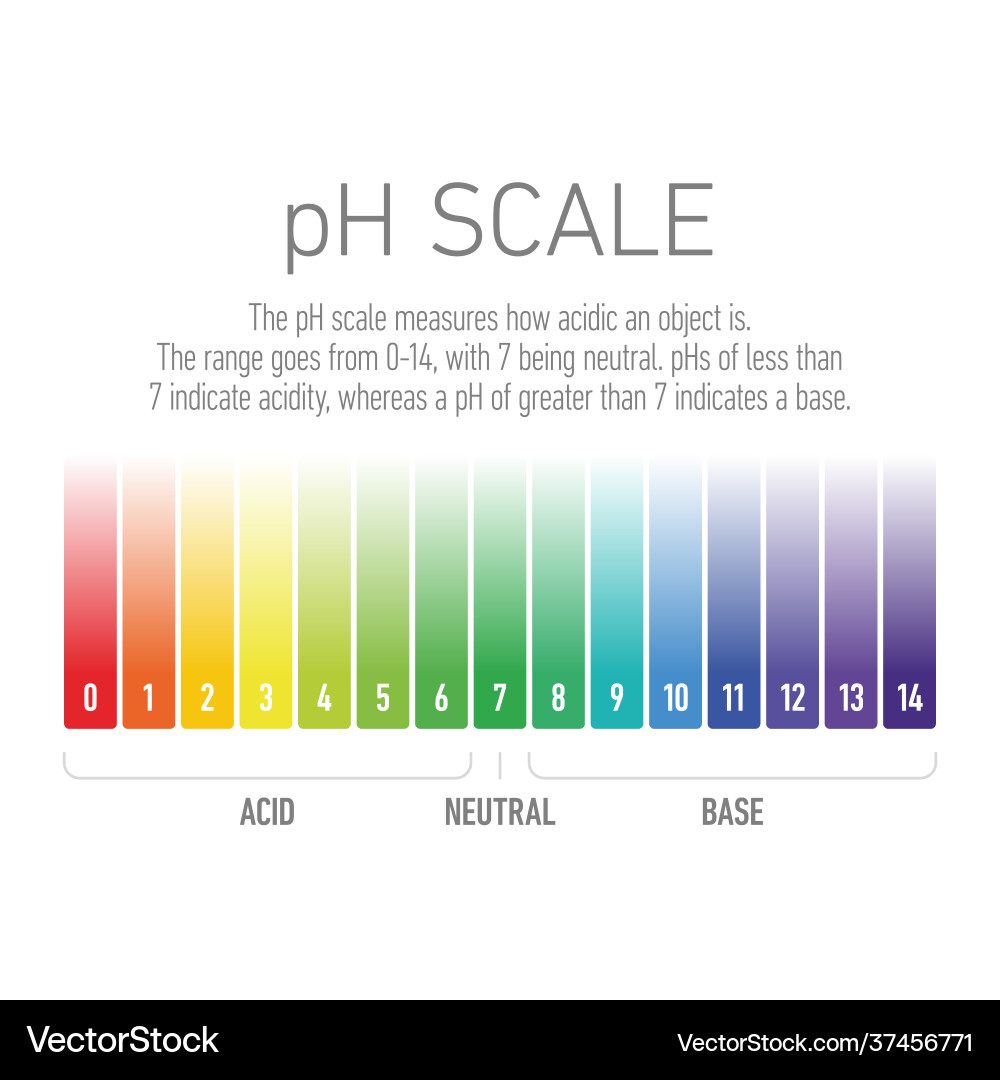 Ph value scale from acid to base solutions Vector Image