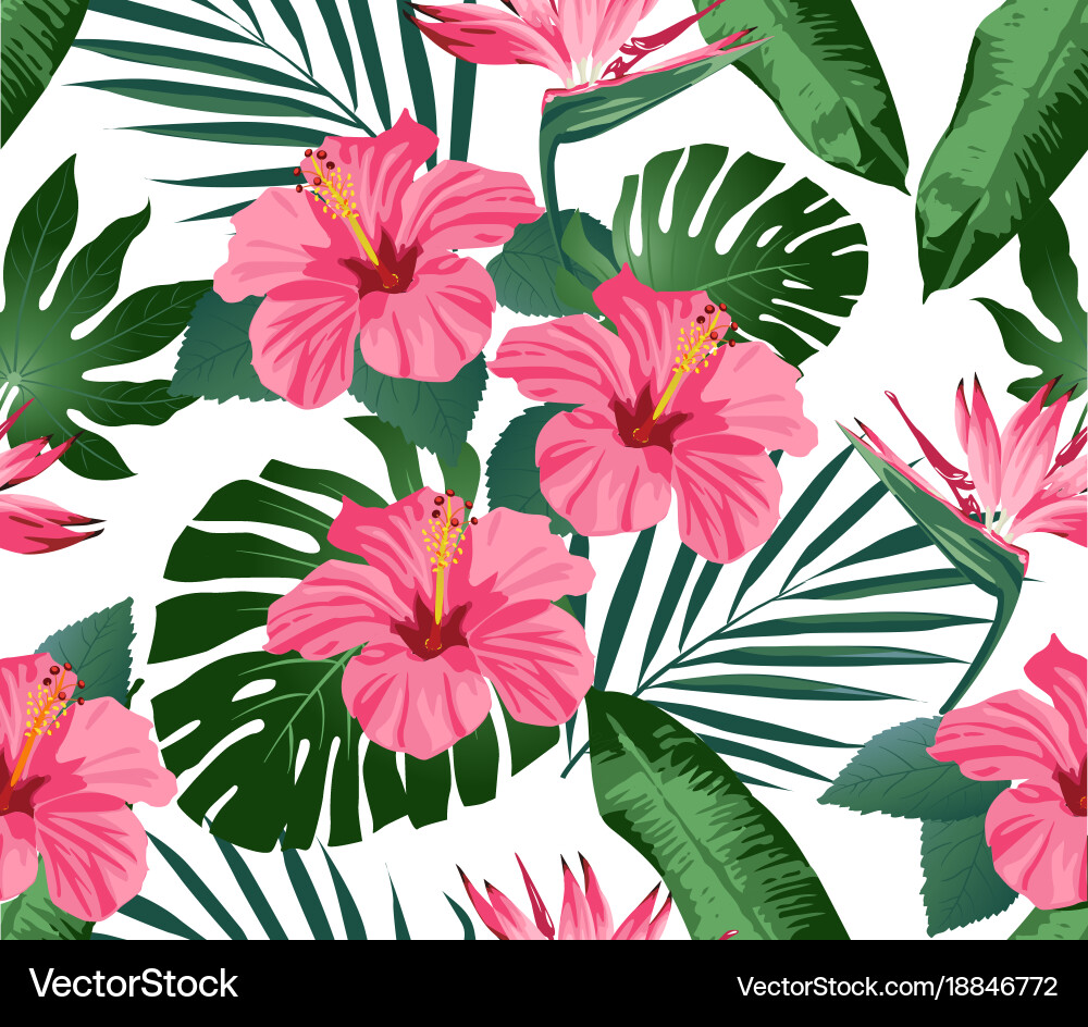 Tropical Flower Background Vector | Best Flower Site