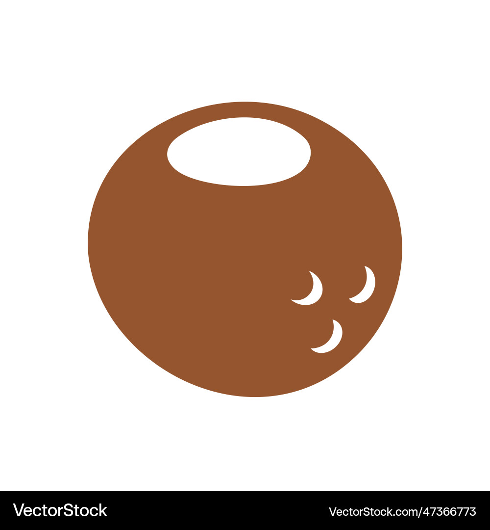 Coconut icon isolated on white background Vector Image