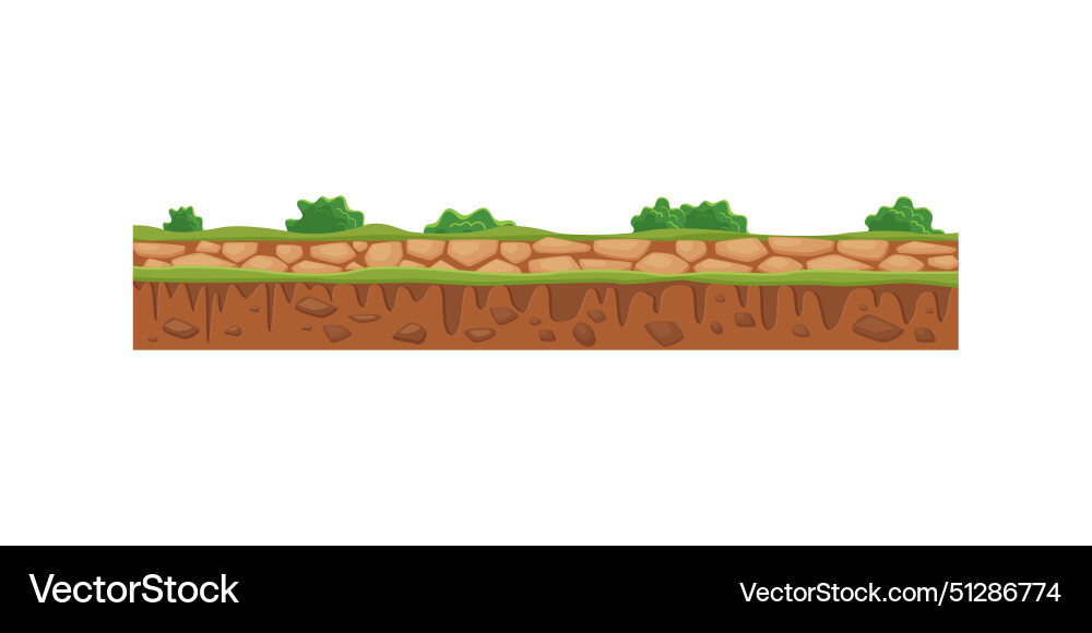 Rocky underground layers grass land and earth Vector Image