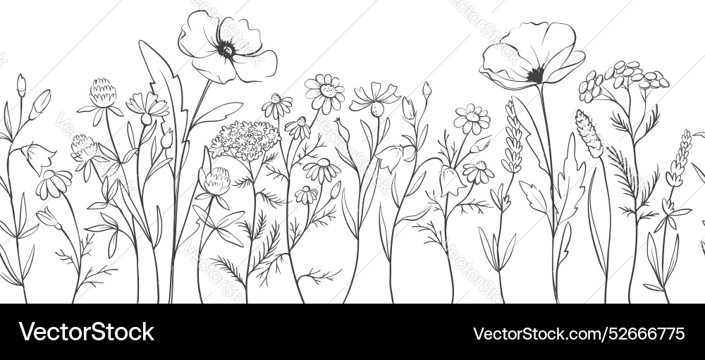 Floral Meadow Sketch Royalty Free Vector Image