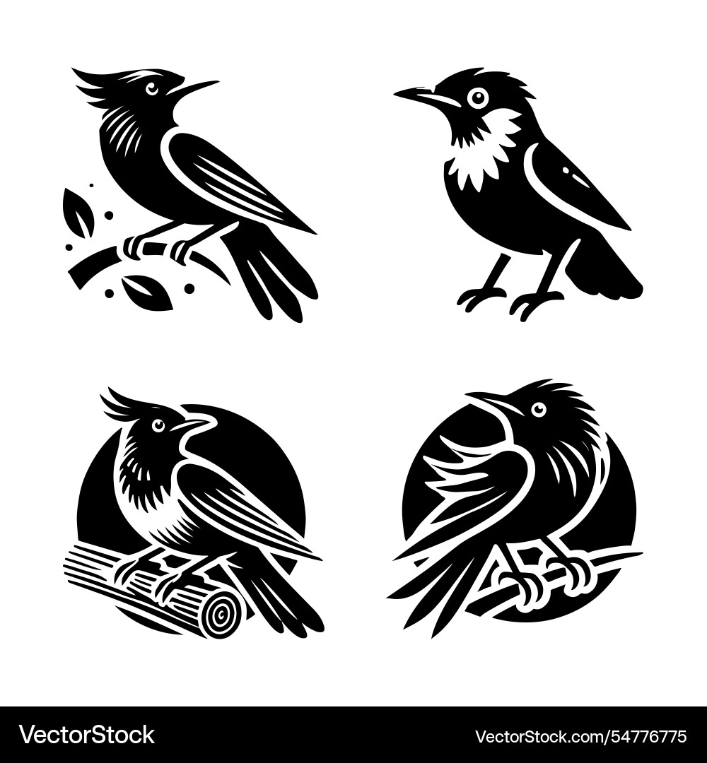 Web Royalty Free Vector Image - VectorStock