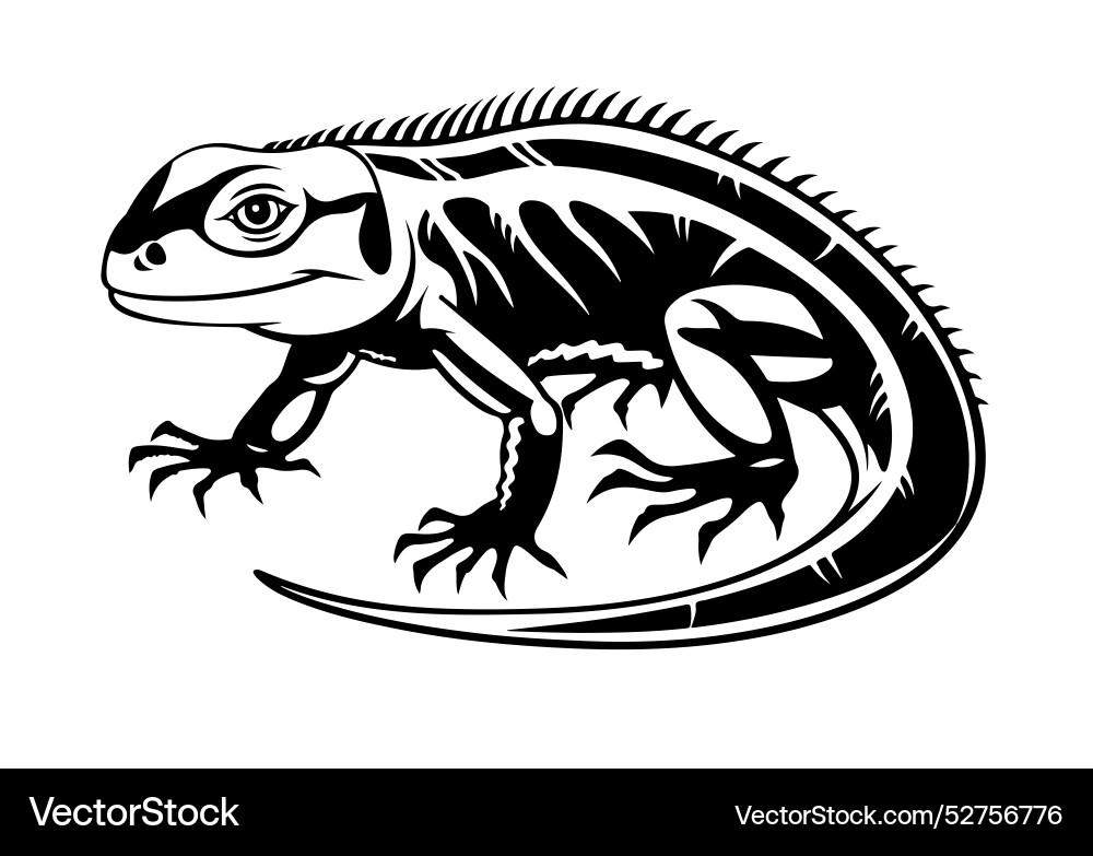 Lizard on isolated white background sketch Vector Image